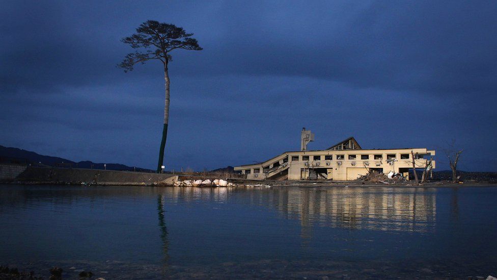 Pictures: Japan's recovery after the 2011 tsunami - BBC Newsround