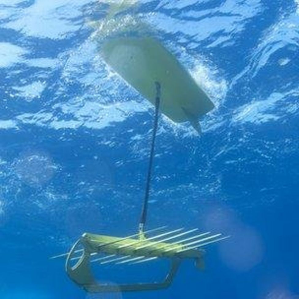 Swimming robots break world distance record in Pacific - BBC News