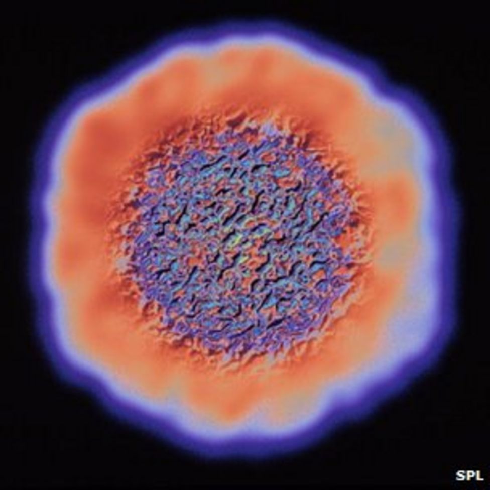 Early days in a DIY biological revolution - BBC News