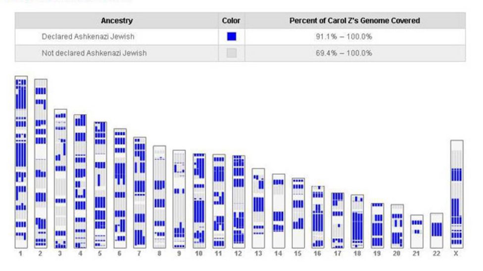 How I traced my ancestry back to the Stone Age - BBC News