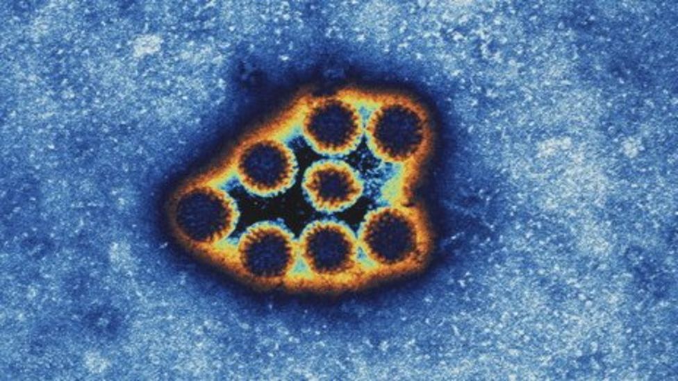 Ancient virus DNA thrives in us - BBC News