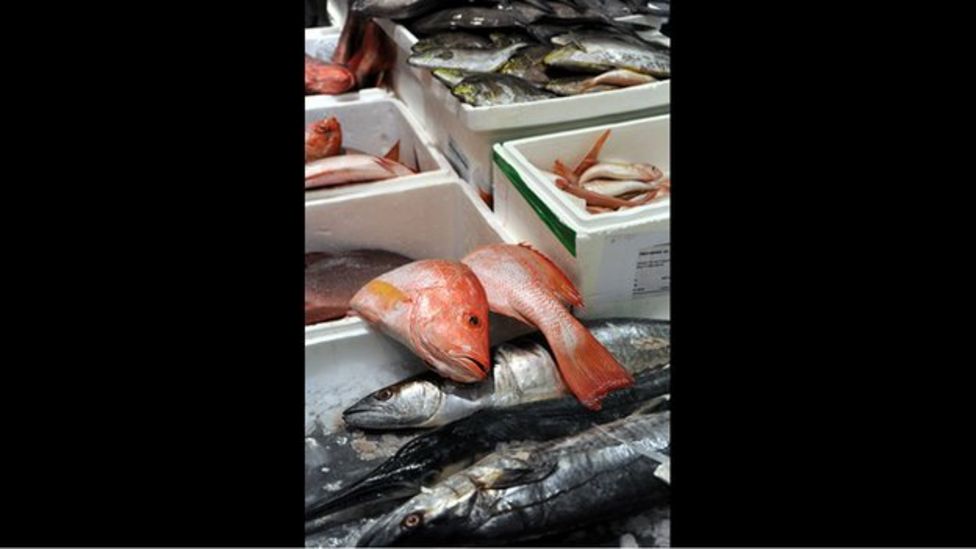 The great British fish swap - BBC News