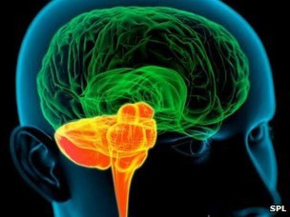 Being bilingual 'boosts brain power' - BBC News