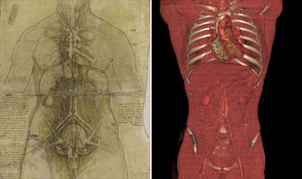Leonardo da Vinci: How accurate were his anatomy drawings? - BBC News