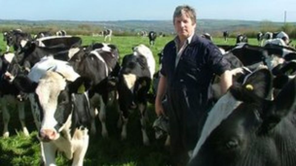 Cornwall cattle found mutilated and killed - BBC News