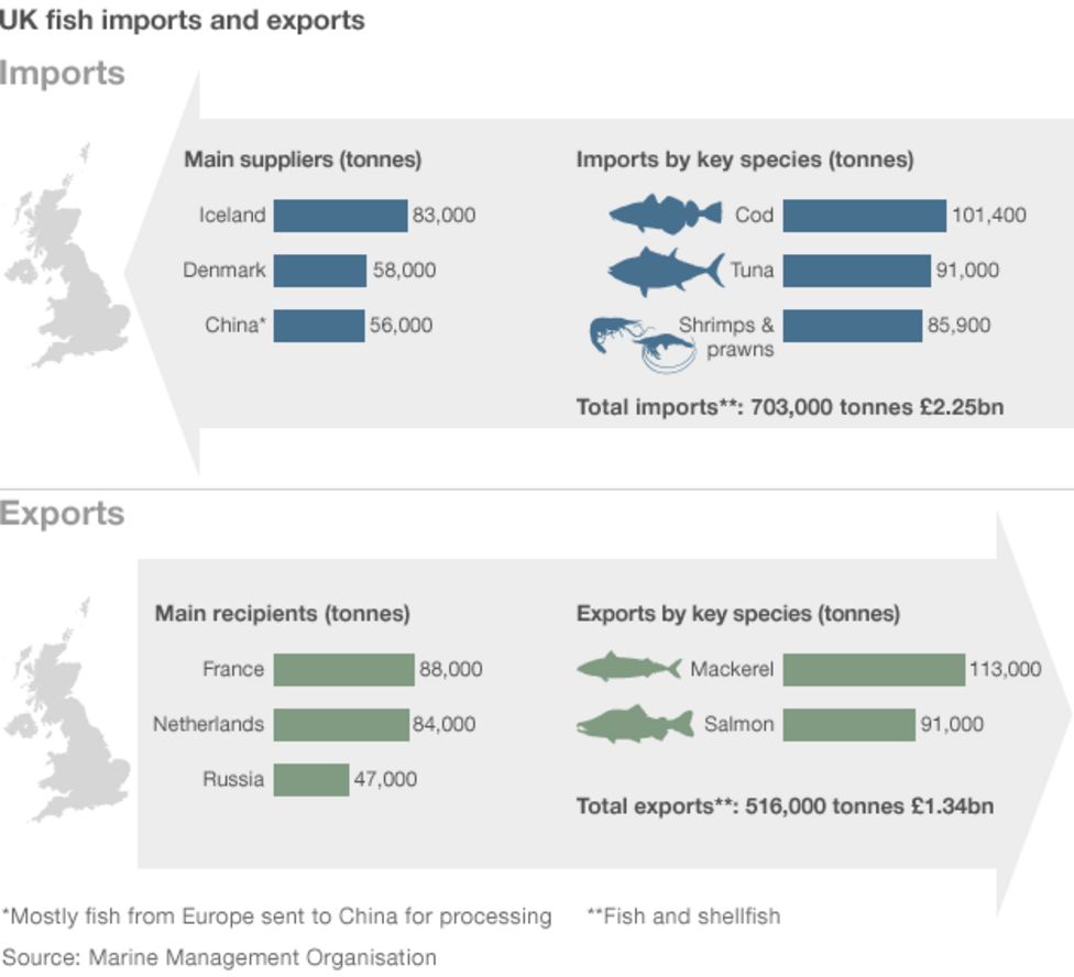 The great British fish swap - BBC News