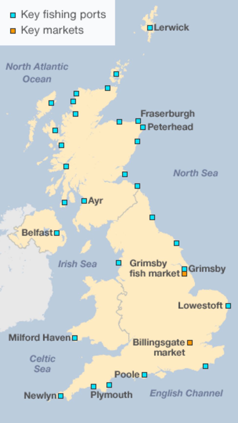 The great British fish swap - BBC News