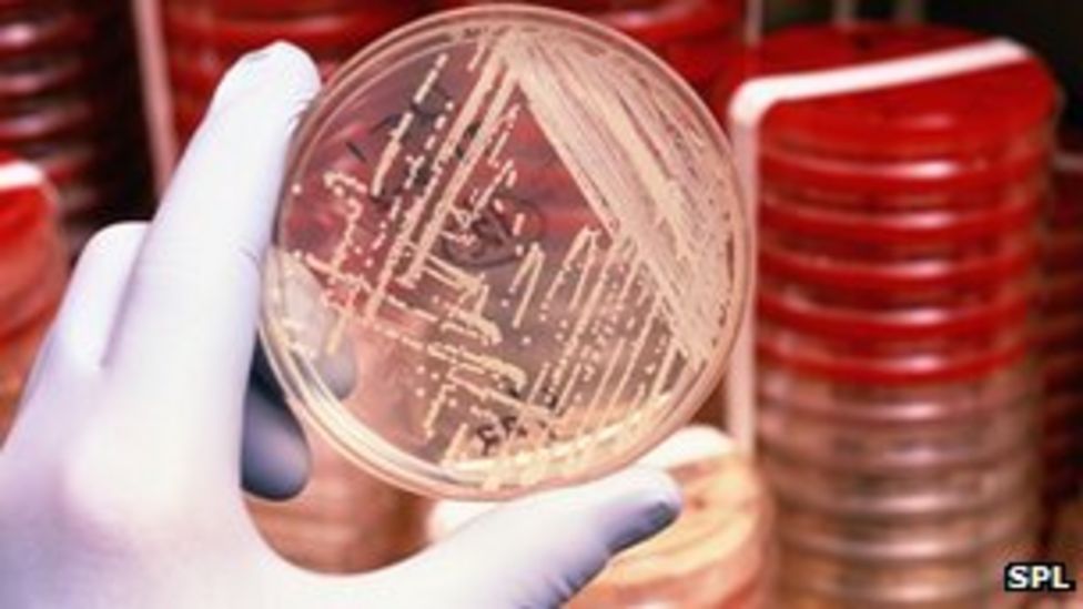 Human Microbiome Project reveals largest microbial map - BBC News