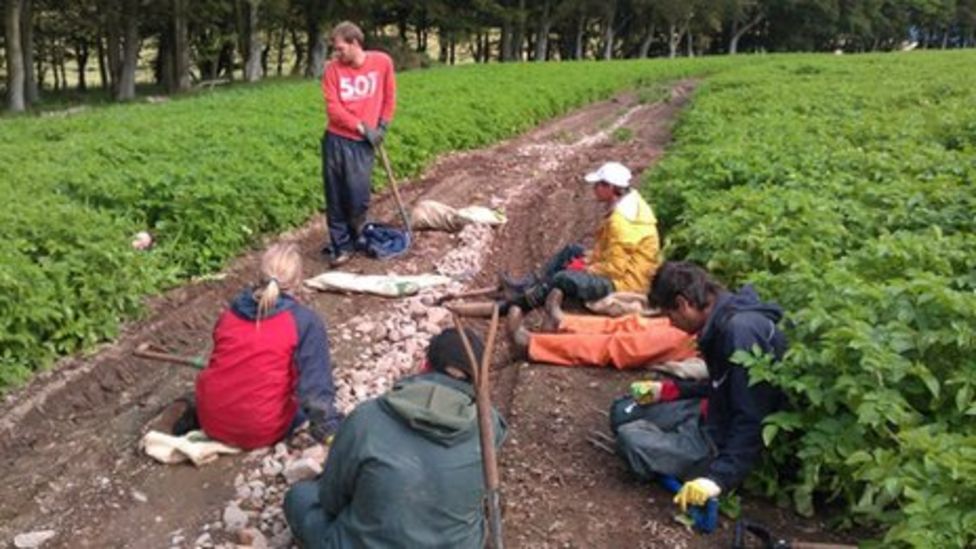 Unsung heroes of Scotland's potato industry - BBC News