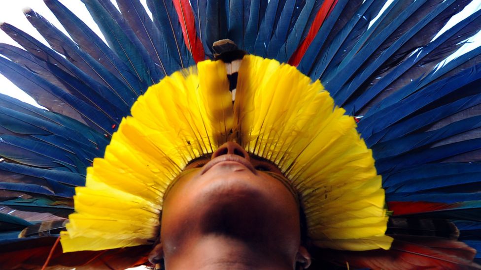 DNA reveals history of vanished 'Paleo-Eskimos' - BBC News