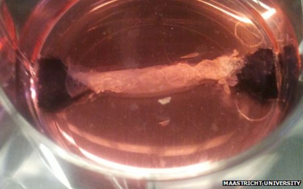 Future foods: What will we be eating in 20 years' time? - BBC News