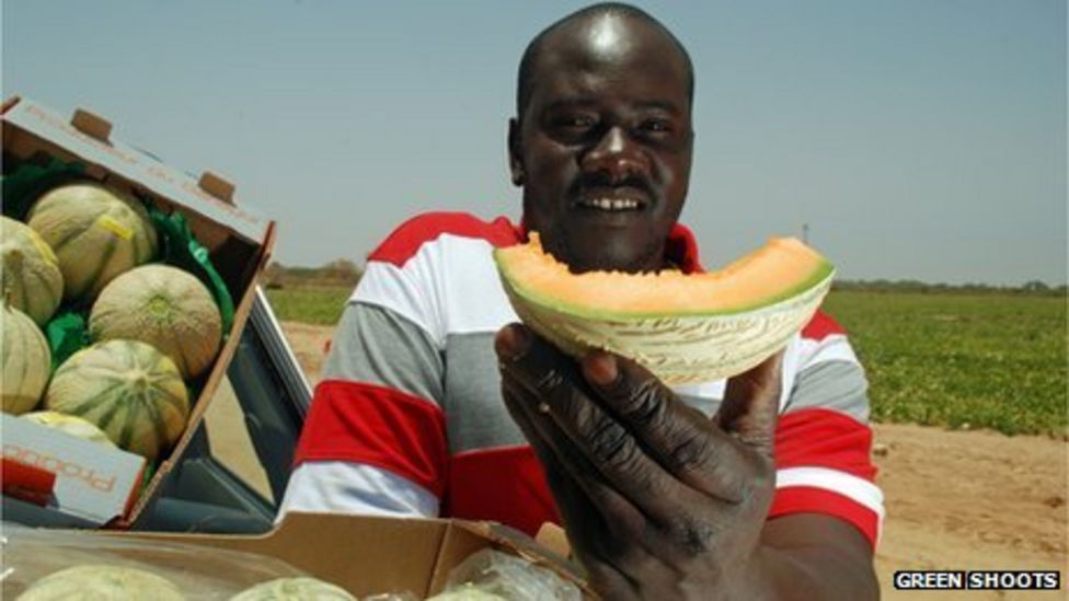 A lesson in Senegalese melons - BBC News