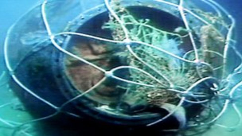 World War II North Sea mine 'successfully detonated' - BBC News