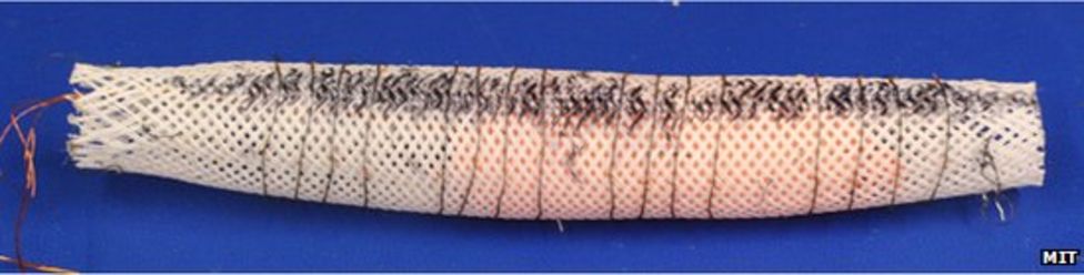 Pentagon helps build Meshworm reconnaissance robot - BBC News