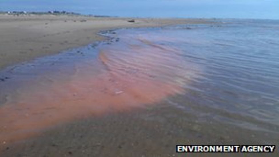 Sea sparkle algae turns Blackpool sea orange - BBC News