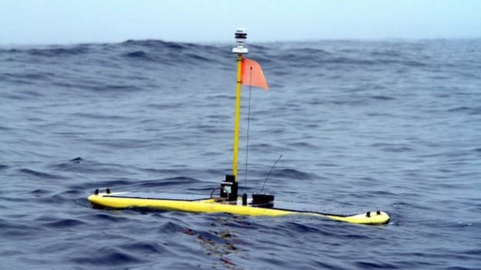 Surf robot tracks down great white sharks - BBC Newsround