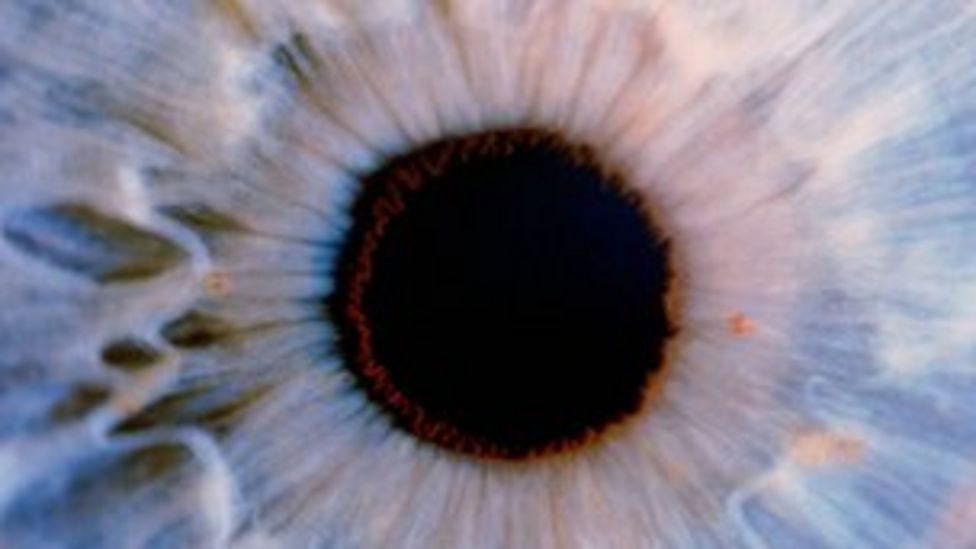 Forensic test can predict hair and eye colour from DNA - BBC News