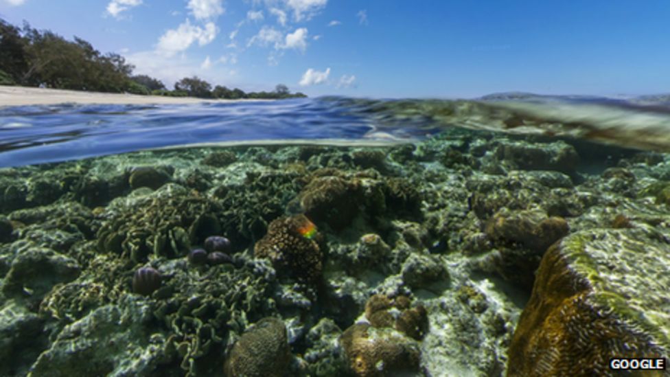 Google adds coral reef panoramas to Street View maps - BBC News