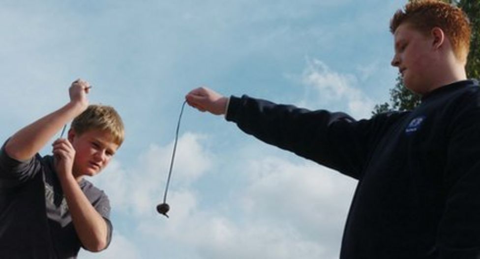 Newsround's smashing guide to the perfect conker! - BBC Newsround