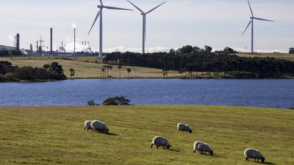 Your pictures of Scotland: 5 - 12 October - BBC News