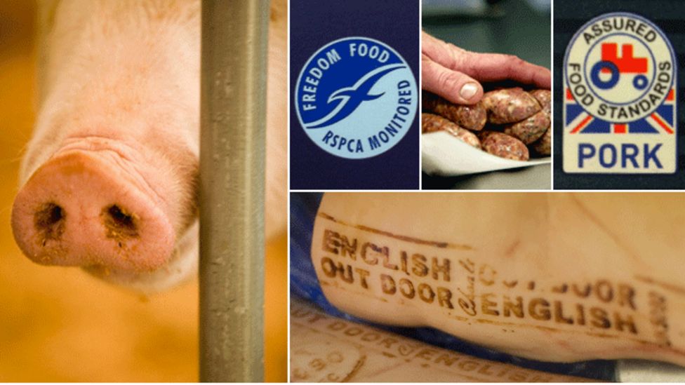 Concerns grow in Europe over threat from deadly pig virus - BBC News