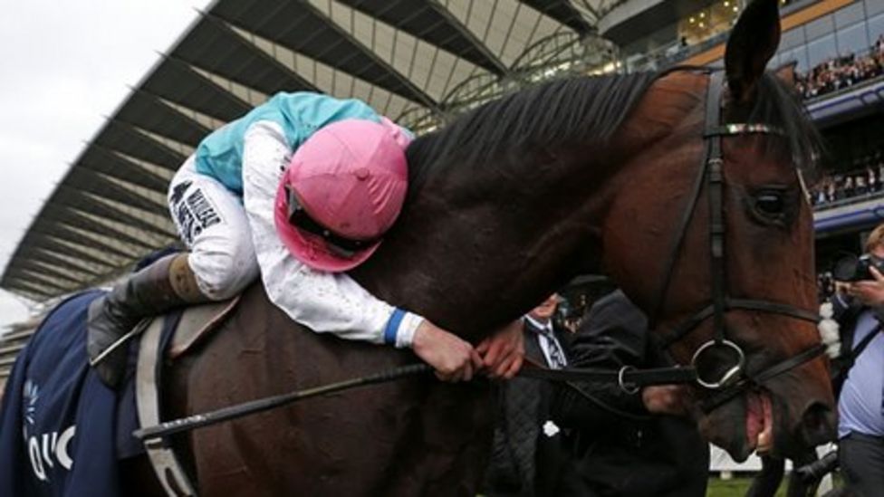 Frankel: 'Super stud' stallion in demand for £125,000 a time - BBC Sport