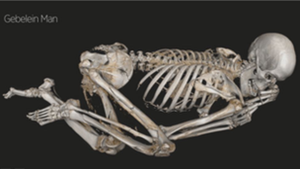 British Museum exhibit Gebelein Man died 'violent death' - BBC News