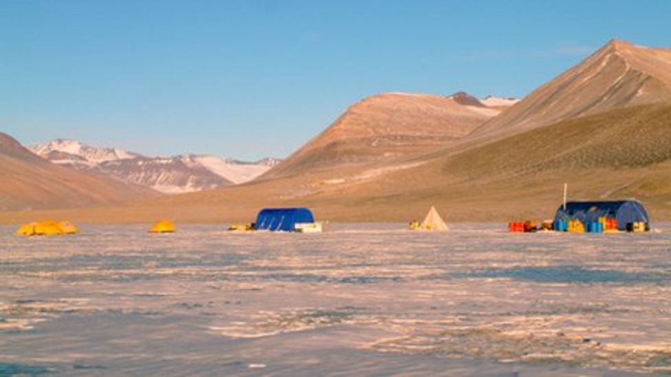 Antarctic hides extreme ecosystem - BBC News