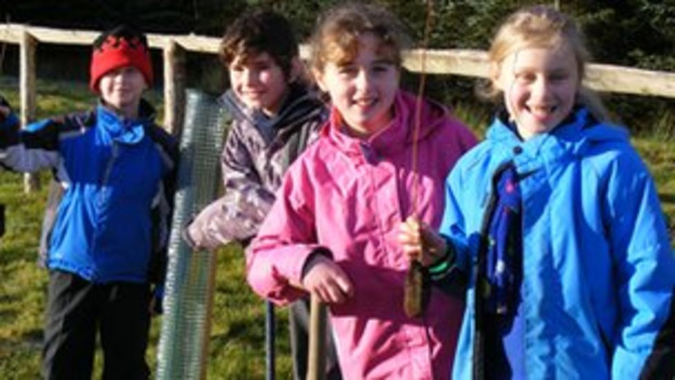 Selkirk Forest Pitch returns to nature - BBC News