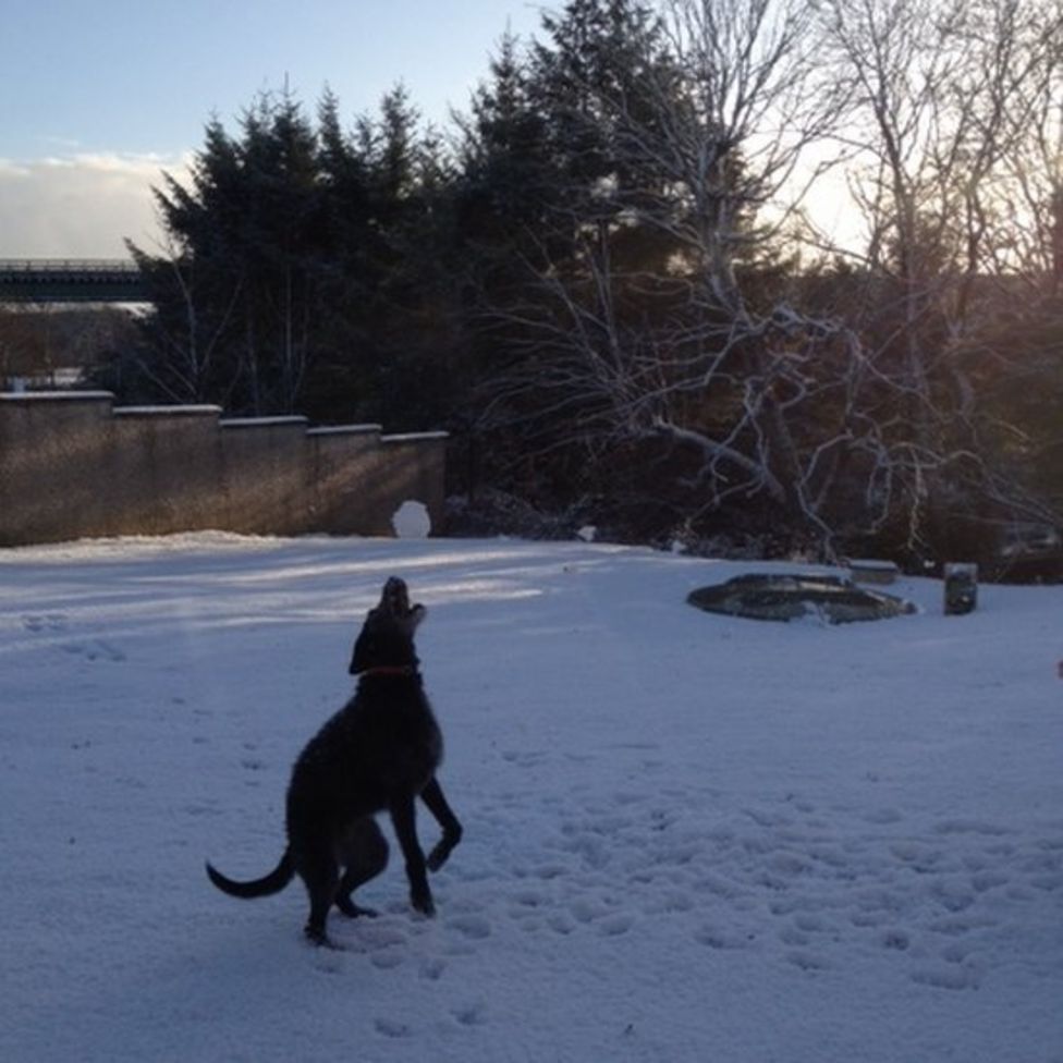 Your pictures of snow in the UK - BBC Weather