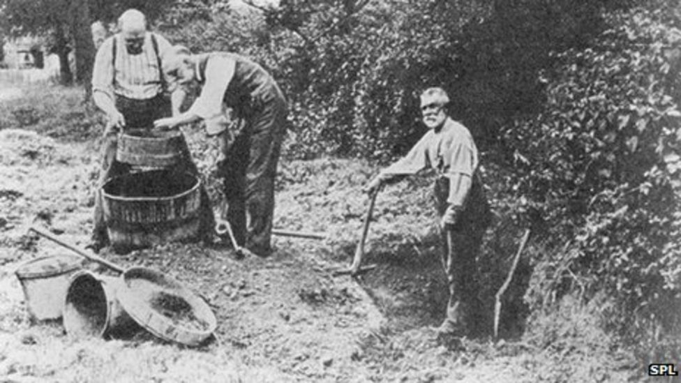 Piltdown Man: A hoaxer still pursued - BBC News