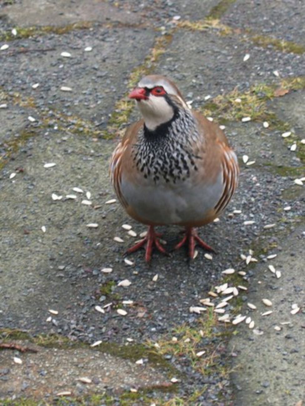 Your pictures of Scotland: 4 - 11 January - BBC News