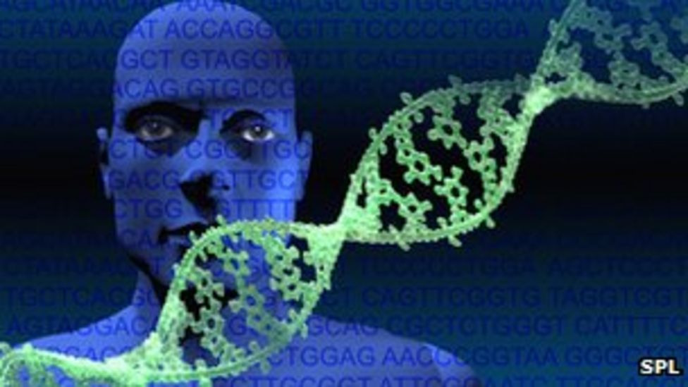 Donated genetic data 'privacy risk' - BBC News