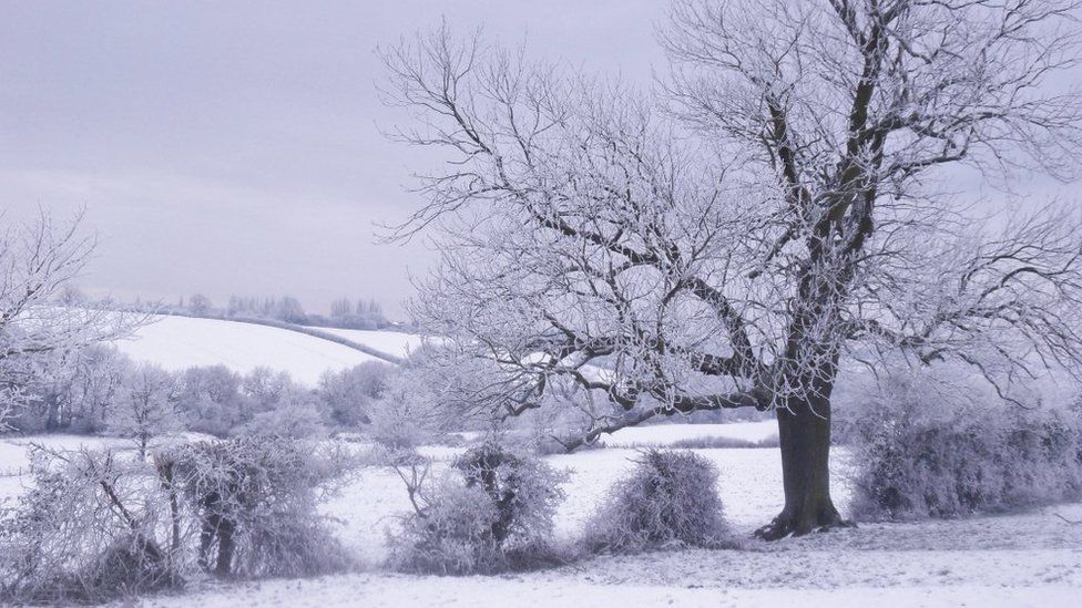 Your latest pictures of snow - BBC Weather