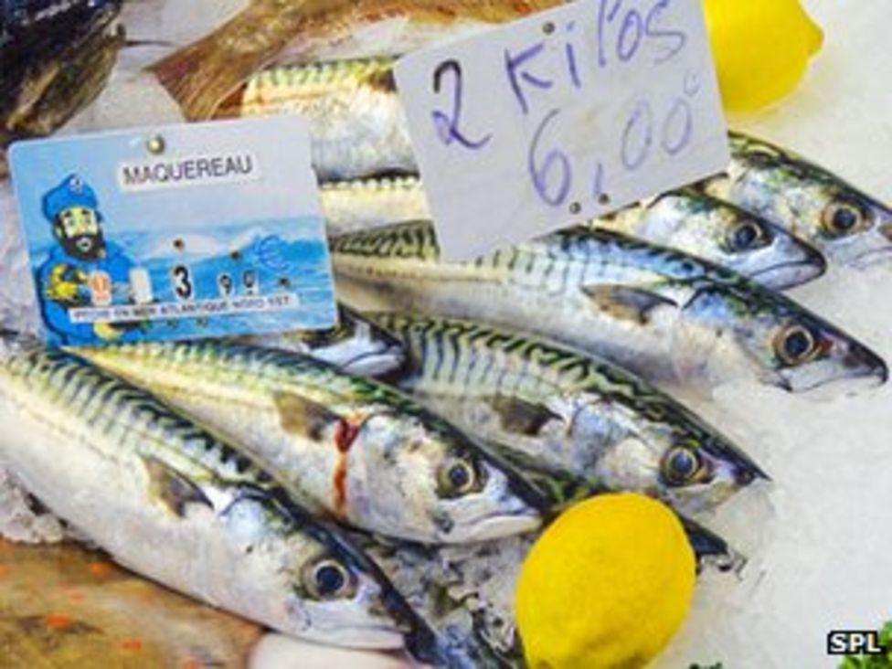 Dispute means mackerel is no longer catch of the day - BBC News