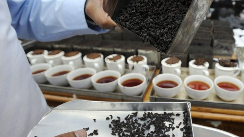 Tea industry's future depends on corporate collaboration - BBC News