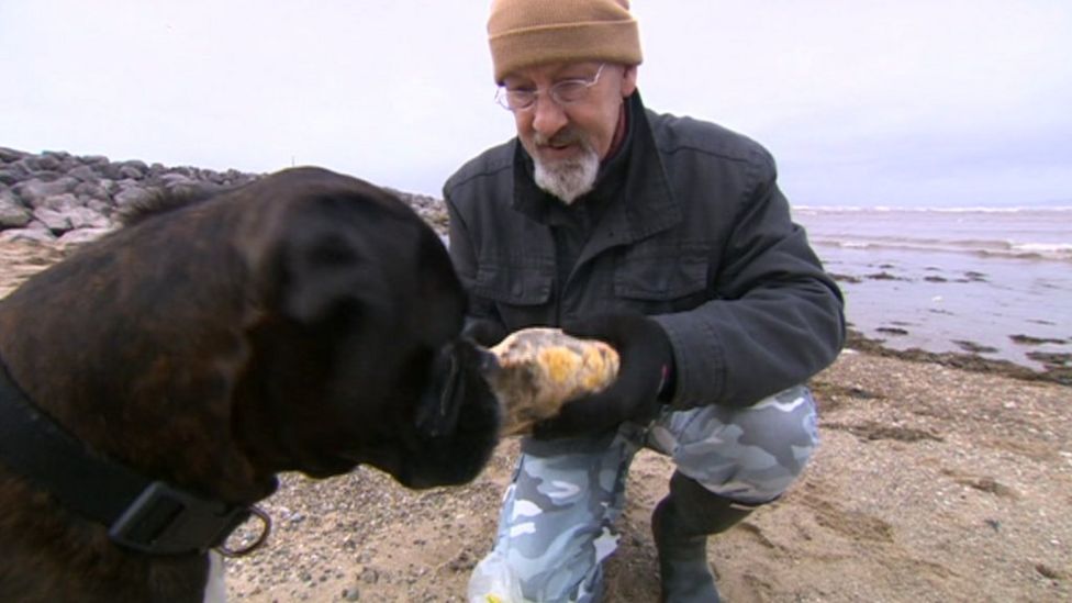 Ambergris found on Anglesey beach sells for £11,000 - BBC News