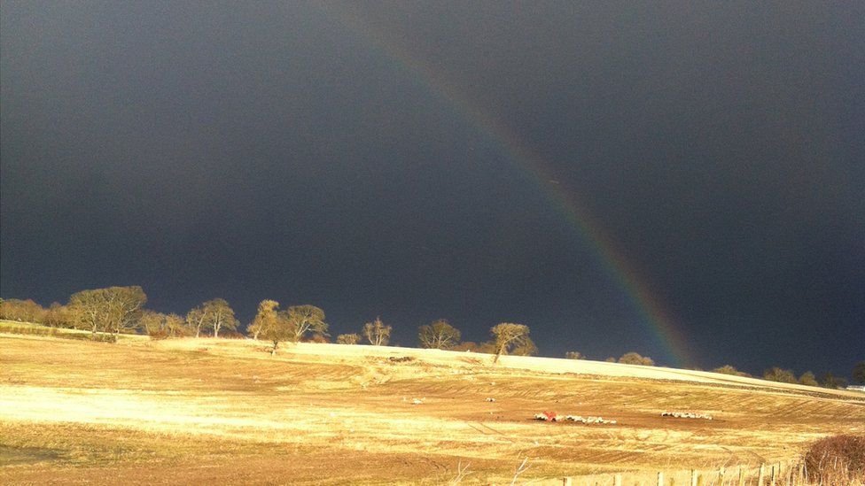 Your photos of recent UK weather - BBC Weather