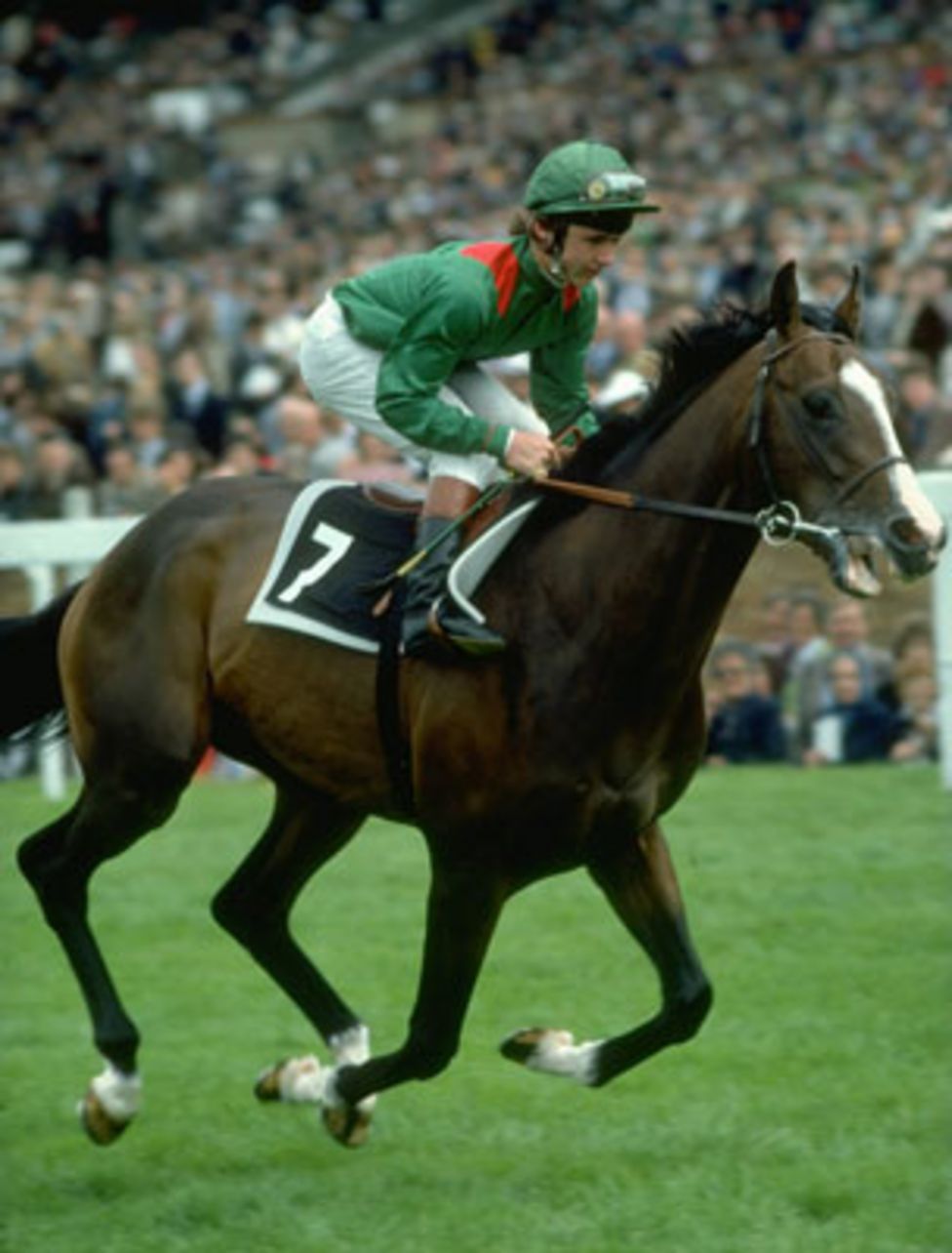 Shergar: The day the wonder horse was stolen - BBC News