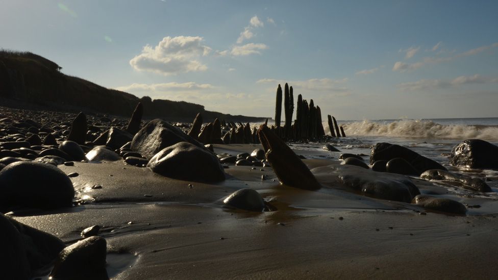 Your Pictures: Photos from Wales - BBC News