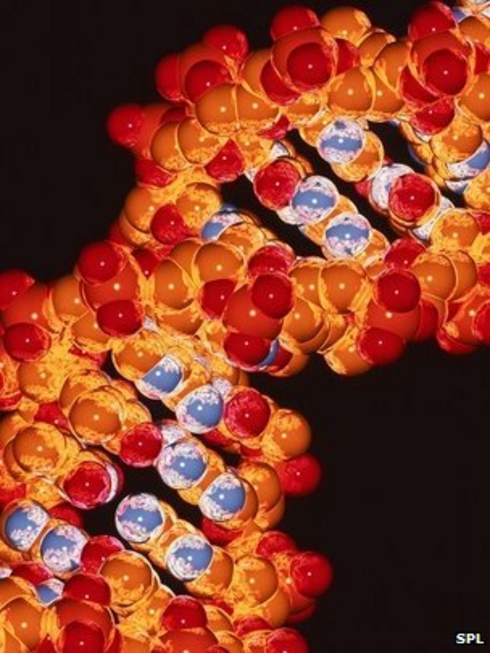 Some DNA ancestry services akin to 'genetic astrology' - BBC News