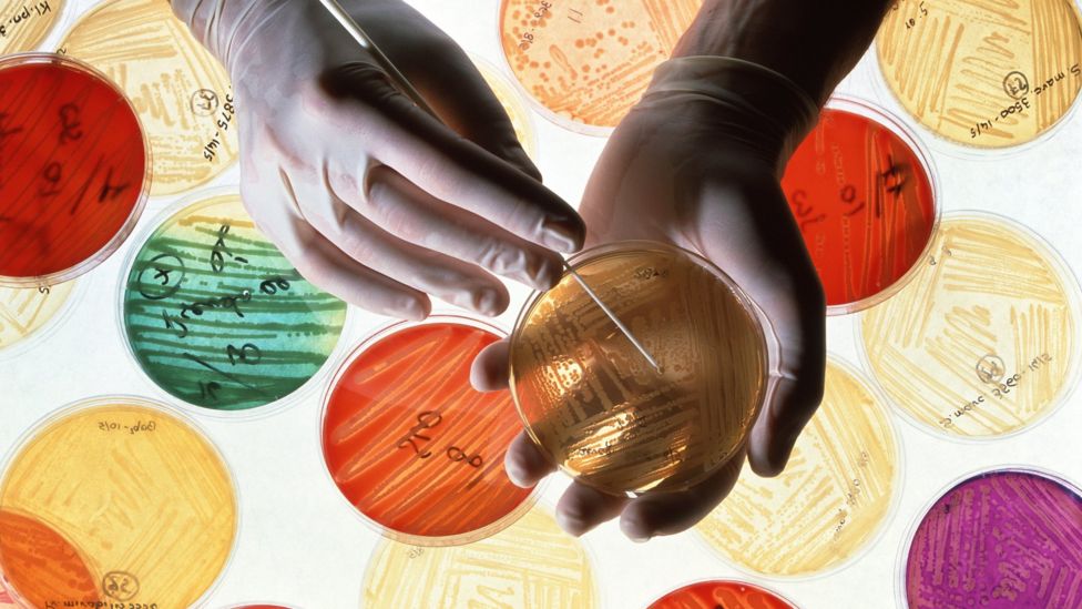 Antibiotic resistance: World on cusp of 'post-antibiotic era' - BBC News