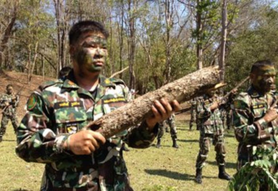 Deadly poison threat to tigers - BBC News