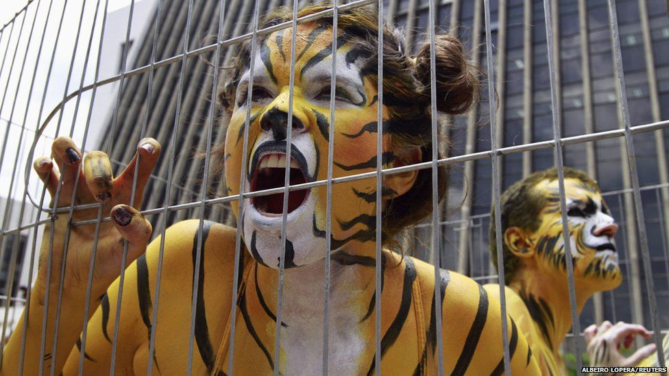 Day in pictures: 12 March 2013 - BBC News