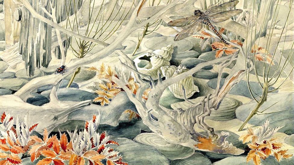 Elsi Eldridge: Art work by wife of RS Thomas on show - BBC News