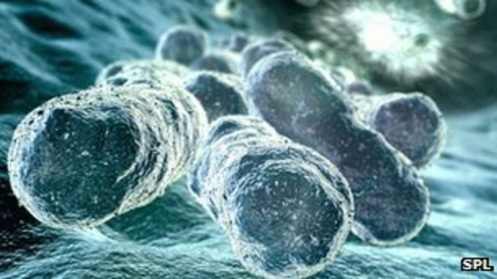 US panel backs trial for anthrax vaccine on children - BBC News