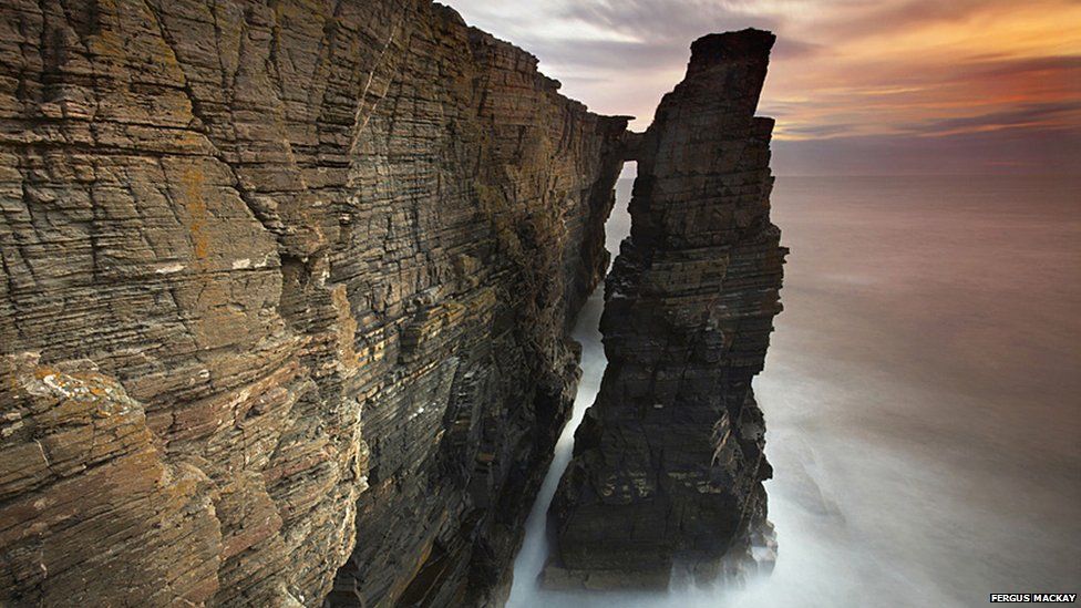 In pictures: Scottish Nature Photography Awards winners - BBC News