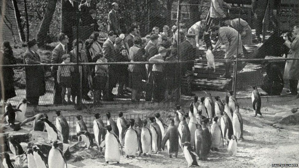 The Edinburgh Zoo Centenary Exhibition - BBC News