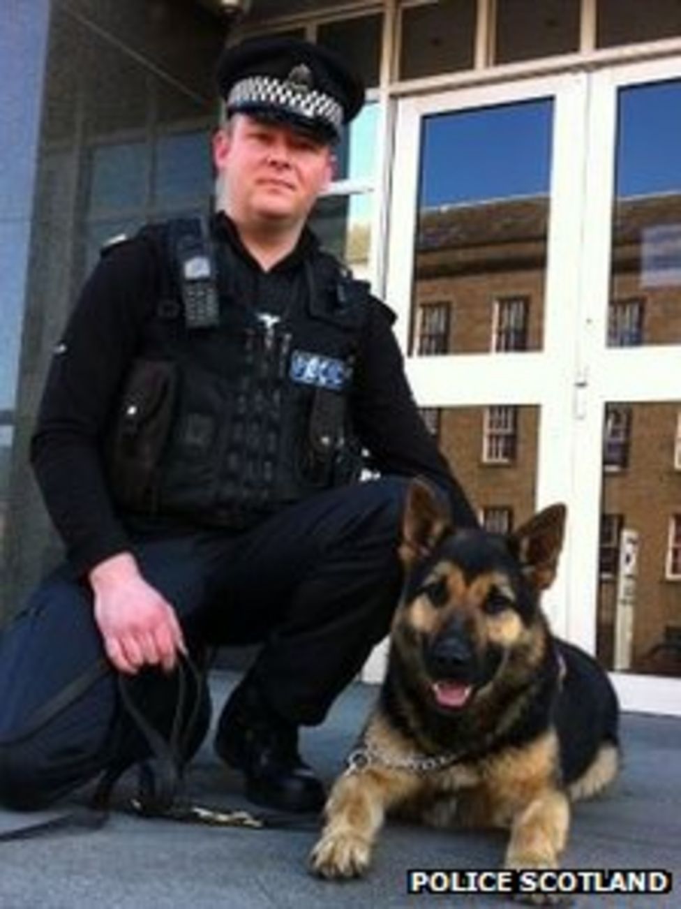 Tayside police dog, Nipper, becomes Police Scotland's latest recruit ...