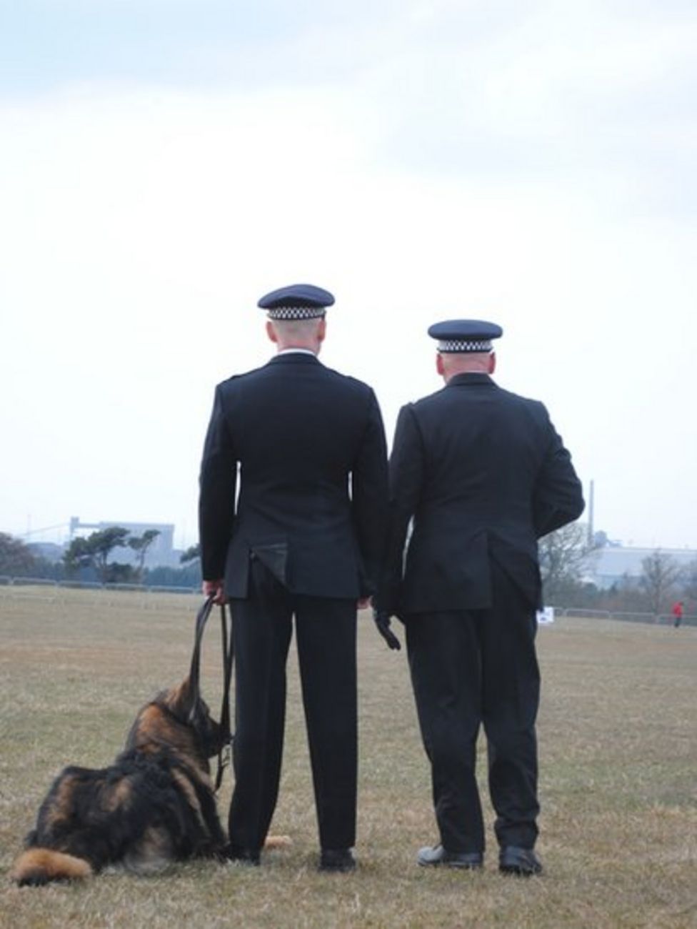 In Pictures: National police dog trials - BBC News